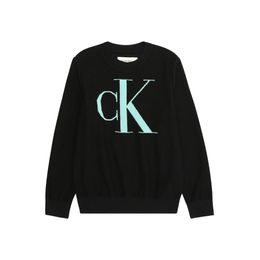 Calvin Klein Jeans Pullover Jungen Gr&ouml;&szlig;e 152 mint / schwarz