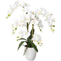 Creativ green Kunstorchidee &raquo;Deko-Orchidee Phalaenopsis im Keramiktopf&laquo; wei&szlig; Obermaterial: 95% Polyethylen, 5% Polyester