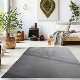 Ayyildiz Teppiche Teppich &raquo;SKY 5400&laquo; rechteckig 7 mm H&ouml;he L&auml;ufer, Besonders weich, Softfllor, waschbar GREY Obermaterial: 100% Polyester B : 240 cm...