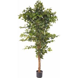 Creativ green Kunstpflanze »Ficus Benjamini« grün