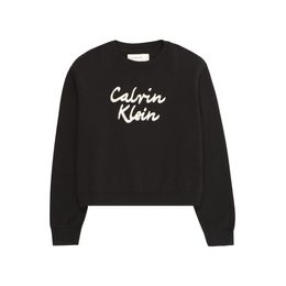 Calvin Klein Pullover M&auml;dchen Gr&ouml;&szlig;e 140 elfenbein / schwarz