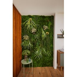 K&uuml;nstliche Zimmerpflanze BOTANIC-HAUS, B:98cm H:5cm T:98cm &Oslash;:98cm, gr&uuml;n, Kunststoff, Kunstpflanzen, "Moosmatte"