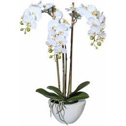 Kunstpflanze Creativ green, B:14cm H:51cm T:8,5cm, wei&szlig;, Badezimmer, Kunstpflanzen, "Mini Orchidee"