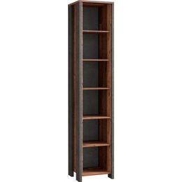Aktenregal FORTE, B:46cm H:220,7cm T:41,6cm, grau, Regale, "Clif", B&uuml;cherregal im Industriestil, H&ouml;he 220,7 cm