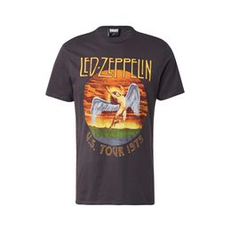 Amplified T-Shirt 'LED ZEPPELIN TOUR 75' Herren Gr&ouml;&szlig;e XS pueblo / gelb / anthrazit / dunkelgr&uuml;n