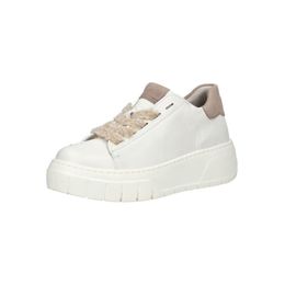 Gabor Sneaker in Latte | Gr.: 38