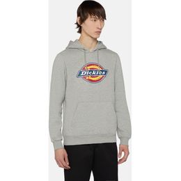 Dickies Hoodie "Icon Logo Hoodie" in Grau | Gr.: S