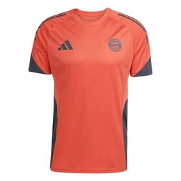 adidas Performance Jersey 'FC Bayern Tiro 25 Competition' male Orange size L
