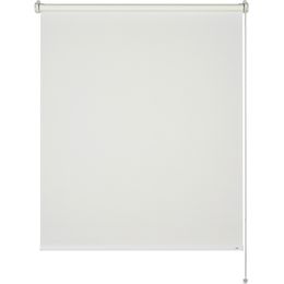 Sch&ouml;ner Wohnen Kollektion Seitenzugrollo, B:120cm H:150cm, wei&szlig;, SCH&Ouml;NER WOHNEN-KOLLEKTION, Polyester, Rollos, "Tageslichtrollo Tizia"