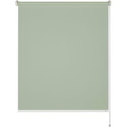 Sch&ouml;ner Wohnen Kollektion Seitenzugrollo, B:120cm H:150cm, gr&uuml;n, SCH&Ouml;NER WOHNEN-KOLLEKTION, Polyester, Rollos, "Tageslichtrollo Tizia"