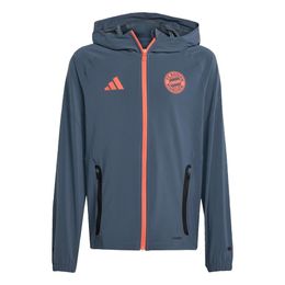 adidas Performance Athletic Jacket 'FC Bayern M&uuml;nchen Tiro 25 Competition' boy Grey size 176