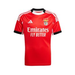 adidas Performance Performance Shirt 'Benfica Lissabon 25/26' boy Red size 152