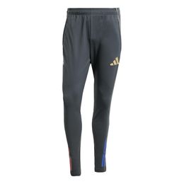 adidas Performance Workout Pants 'Olympique Lyon Tiro 25 Competition' male Grey size XS