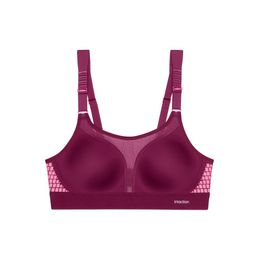 Triumph Sport-BH Triaction Extreme Lite in DARK WINE | Gr.: 70C