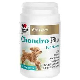 Queisser Doppelherz f&uuml;r Tiere Chondro Plus f&uuml;r Hunde 120 ST