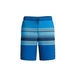 Speedo 20" Watershort in Blau | Gr.: M