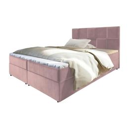 MASSENO Boxbett mit Bettkasten Prata rosa/pink Ma&szlig;e (cm): B: 180 H: 98 &raquo; H&ouml;ffner