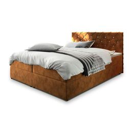 MASSENO Boxbett mit Bettkasten Riva orange Ma&szlig;e (cm): B: 180 H: 98 &raquo; H&ouml;ffner
