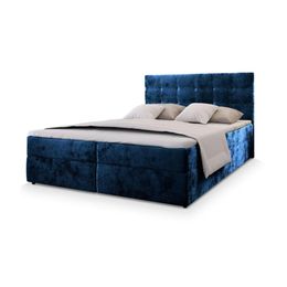 MASSENO Boxbett mit Bettkasten Glos blau Ma&szlig;e (cm): B: 160 H: 98 &raquo; H&ouml;ffner