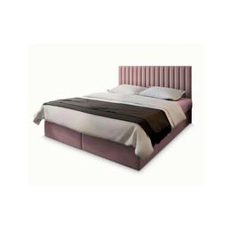 MASSENO Boxbett mit Bettkasten Bresel rosa/pink Ma&szlig;e (cm): B: 140 H: 98 &raquo; H&ouml;ffner