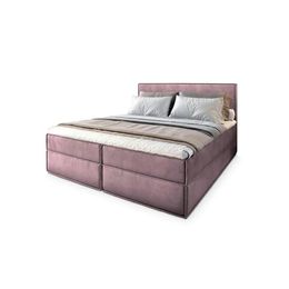 MASSENO Boxbett mit Bettkasten Pellio lila/violett Ma&szlig;e (cm): B: 140 H: 98 &raquo; H&ouml;ffner