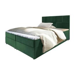 MASSENO Boxbett mit Bettkasten Prata gr&uuml;n Ma&szlig;e (cm): B: 180 H: 98 &raquo; H&ouml;ffner