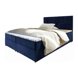 MASSENO Boxbett mit Bettkasten Prata blau Ma&szlig;e (cm): B: 140 H: 98 &raquo; H&ouml;ffner