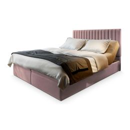 MASSENO Boxbett mit Bettkasten Murlo rosa/pink Ma&szlig;e (cm): B: 180 H: 98 &raquo; H&ouml;ffner