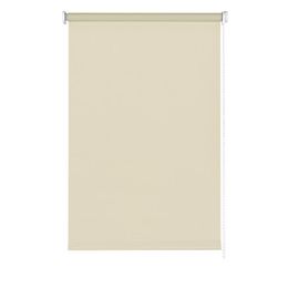Gardinia Seitenzugrollo &raquo;Seitenzug-Rollo Verdunklung&laquo; verdunkelnd mit Bohren lichtundurchl&auml;ssig creme Obermaterial: 100% Polyester 180 cm