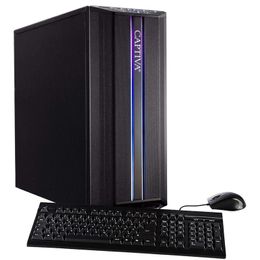 Captiva Gaming-PC &raquo;Advanced Gaming R69-347&laquo; schwarz ohne Windows