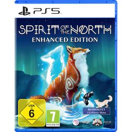 Playstation 5 Spielesoftware »Spirit of the North - []« (ohne Farbbezeichnung)