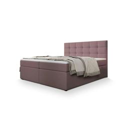MASSENO Boxbett mit Bettkasten Palma rosa/pink Maße (cm): B: 140 H: 120 Betten > Betten nach Art > Polsterbetten » DeinBett