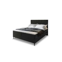 MASSENO Boxbett mit Bettkasten Muri schwarz Maße (cm): B: 140 H: 98 Betten > Betten nach Art > Polsterbetten » DeinBett