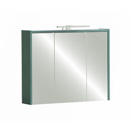 Tchibo - Spiegelschrank »Lovis« - 74,5x16x62,5cm - grün - Holz / Metall