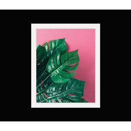 Tchibo - Rahmenbild »Monstera Pertusum« - schwarz