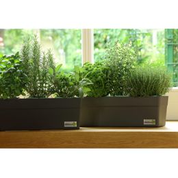 Tchibo - Greenbar »Grillkräuter« - grau