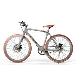 Sharp Hybrid E-Bike - silber