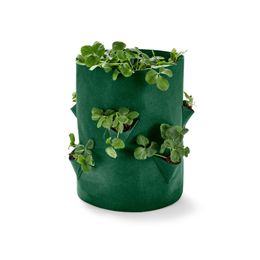 Tchibo - Erdbeeren-Pflanztasche - grün