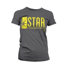 DC Flash Shirt in Grau | Gr.: L