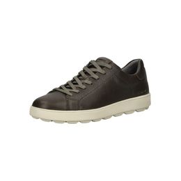 Geox Sneaker in Military | Gr.: 42
