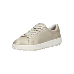 Geox Sneaker in Sand | Gr.: 40