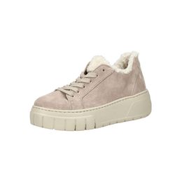 Gabor Sneaker in Dunkelbeige | Gr.: 39