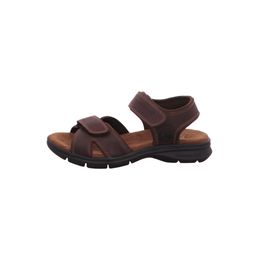 Panama Jack Trekkingsandalen in Braun | Gr.: 42