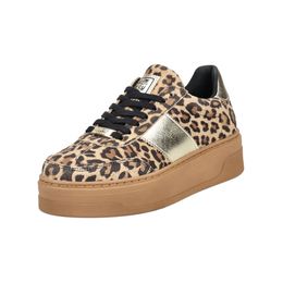 Plateausneaker Steve Madden "Steve Madden Sneaker Lederimitat", Damen, Gr. 38, braun (leopard), Lederimitat, Schuhe Plateausneaker