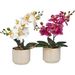Creativ green Kunstorchidee &raquo;Orchidee Phalaenopsis&laquo; mit real-touch-Bl&uuml;ten wei&szlig;-lila