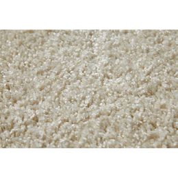 ANDIAMO Teppichboden &raquo;Portland, Velours, Made in Netherlands&laquo; rechteckig 11 mm H&ouml;he Uni Farben, Breite 400 cm, Wohnzimmer, strapazierf&auml;hig, pflegeleicht beige