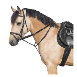 MONTIVUM Thiedemann Springkombination schwarz Pony