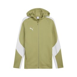 Puma Athletic Zip-Up Hoodie 'teamEVOSTRIPE' male Green size L