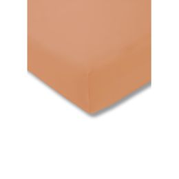 Estella Spannbetttuch Zwirn-Jersey in apricot | Gr.: 100 x 200