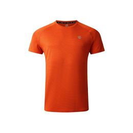 Dare 2b Persist Tee in Orange | Gr.: XL